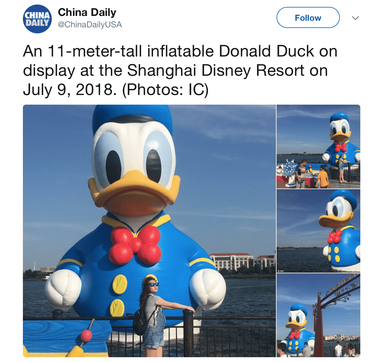Giant floating rubber Donald Duck debuts at Shanghai Disney Resort ...