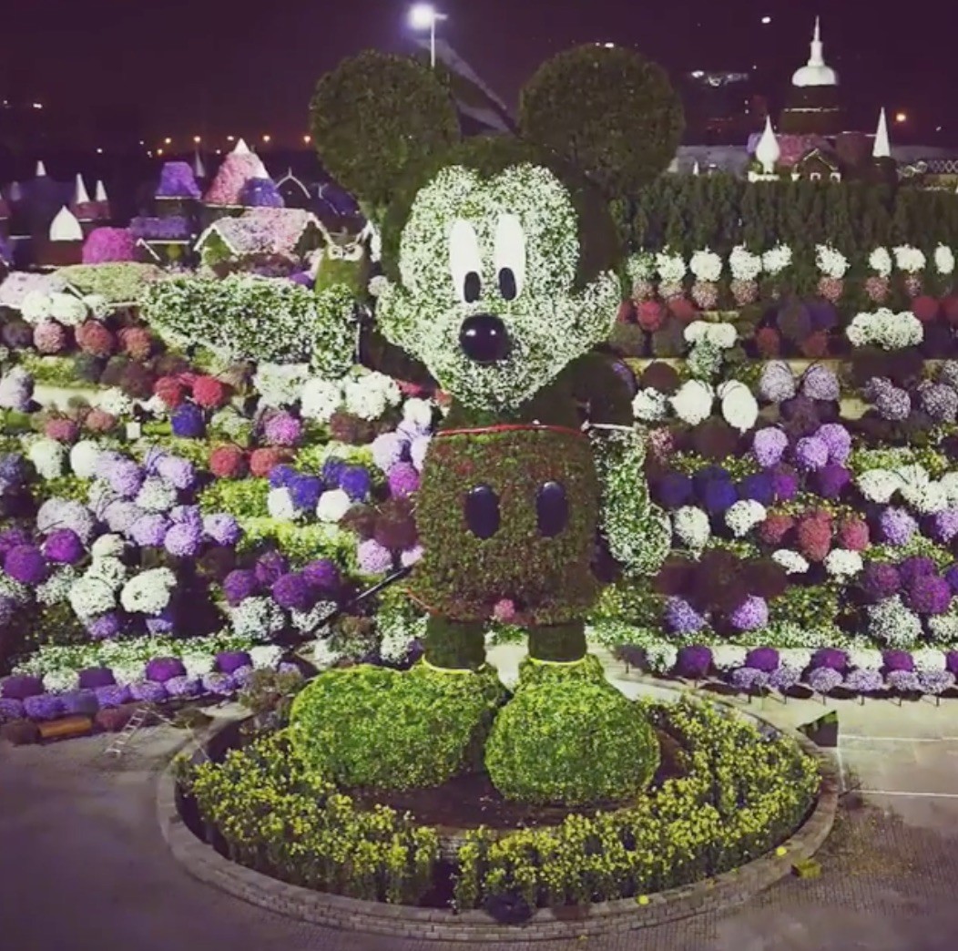 Mickey Mouse's topiary towers above all others - Disney Diary