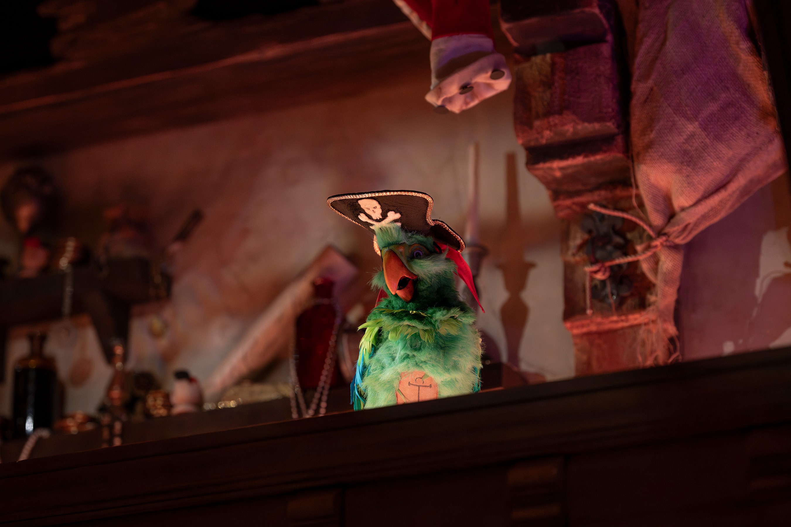 A Pirate's Life for Me: A Review of The Beak and Barrel - Disney Diary